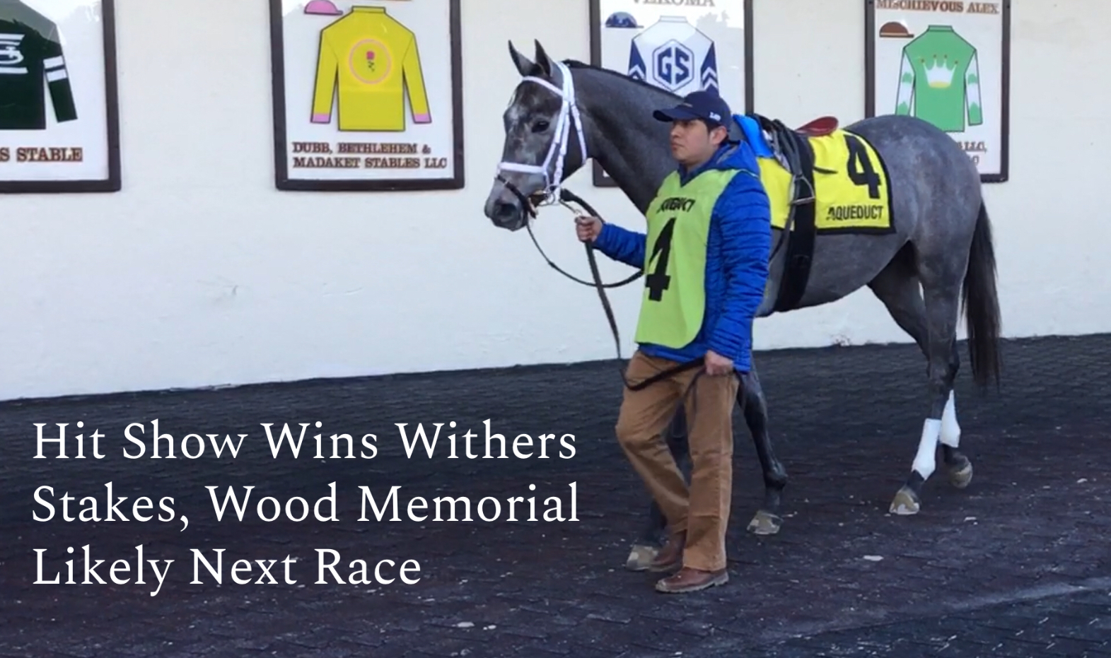 Hit Show Wins Withers Stakes, Wood Memorial Likely Next Race - Paddy's ...